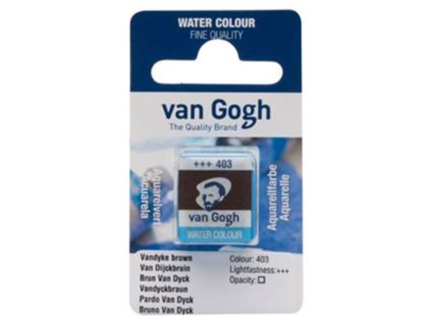 Aquarelle Dans 1/2 Godet Couleur Sr.standard Bruno Van Dyck Van Gogh ...